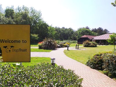 Dog Rescue, Rehoming & Adoption Canterbury, Kent | Dogs Trust