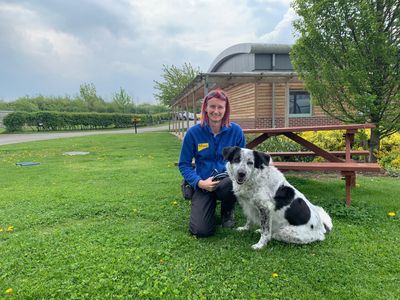 Our Special Rehabilitation Unit | Dogs Trust