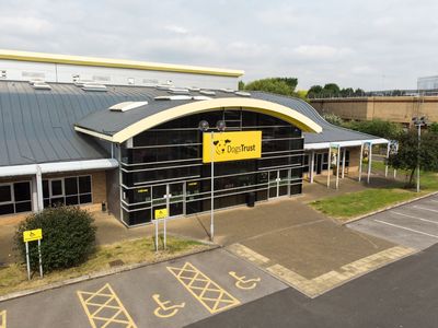 Manchester Dog Rehoming, Rescue & Adoption | Dogs Trust