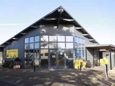 Dog Rescue, Rehoming & Adoption Shoreham, Sussex | Dogs Trust