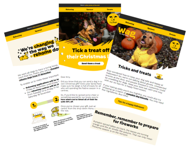 Get our pawsome newsletter | Dogs Trust