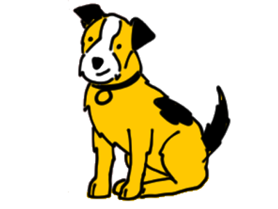 Dog Rehoming, Rescue & Adoption Dundee, Scotland | Dogs Trust