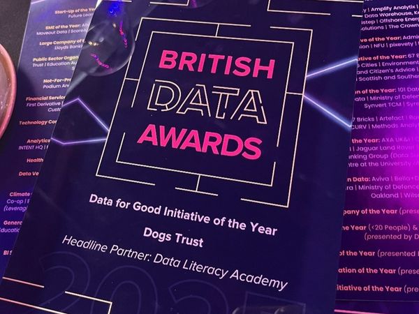 Dogs Trust Wins 'Data for Good Initiative of the Year' | Dogs Trust