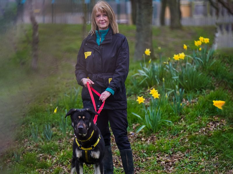 Devoted dog-lovers celebrate 46 years of volunteering | Dogs Trust