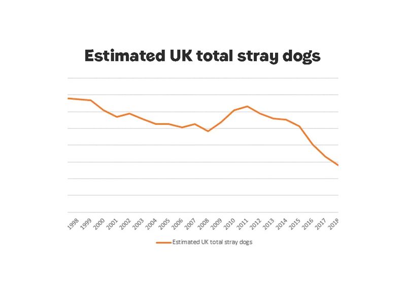 Stray Dogs Survey: Research | Dogs Trust